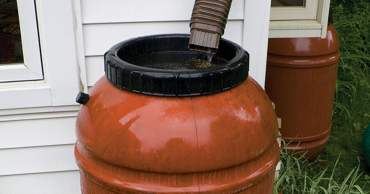 Order Your Rain Barrel Today!